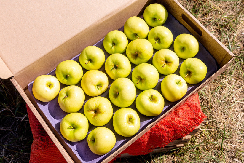 Ginger Gold – Shenandoah Valley Orchards