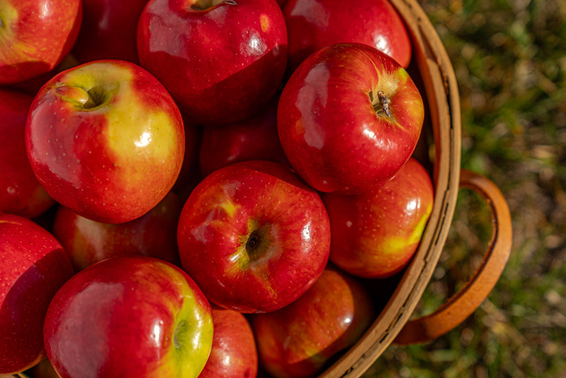 Crimson Crisp – Shenandoah Valley Orchards